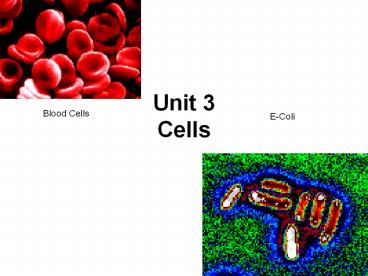 Unit 3 Cells presentation | free to view