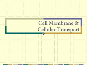 PPT – Cell Membrane PowerPoint presentation | free to view - id: 709779 ...