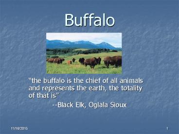 Buffalo presentation | free to view