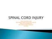 PPT – spinal cord injury PowerPoint presentation | free to download ...