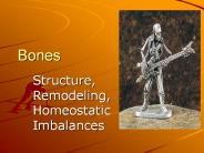 PPT – Broken Bones PowerPoint presentation | free to view - id: 1cbd68 ...