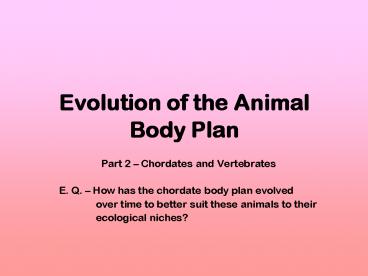 Evolution of the Animal Body Plan presentation | free to view