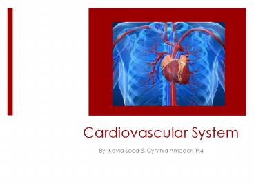 Cardiovascular System presentation | free to view