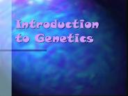 PPT – Introduction to Genetics PowerPoint presentation | free to view ...