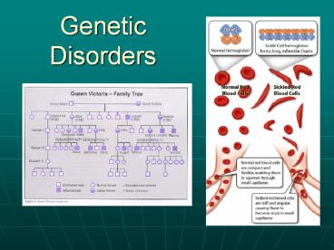 Genetic Disorders presentation | free to download