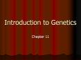 PPT – Introduction to Genetics PowerPoint presentation | free to view ...