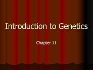 PPT – Introduction to Genetics PowerPoint presentation | free to view ...