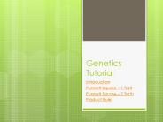 PPT – Introduction to Genetics PowerPoint presentation | free to view ...