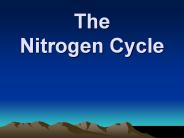 PPT – The Nitrogen Cycle PowerPoint presentation | free to view - id ...