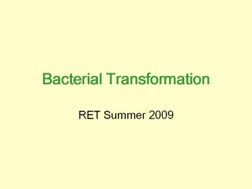 Bacterial Transformation presentation | free to download