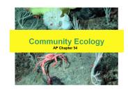 PPT – Ecology PowerPoint presentation | free to view - id: 1f22c6-MTgzN