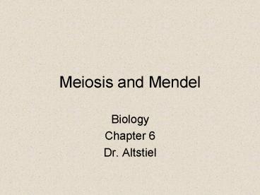 Meiosis and Mendel presentation | free to download