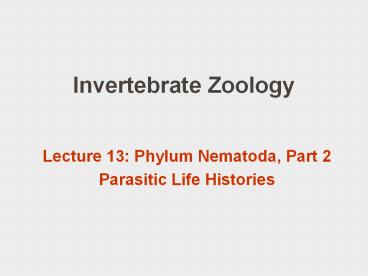 PPT – Invertebrate Zoology PowerPoint presentation | free to download ...