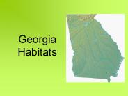 PPT – Animal Habitats PowerPoint presentation | free to view - id ...