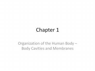 Organization of the Human Body presentation | free to download