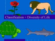 PPT – Diversity of Life: Introduction to Biological Classification ...