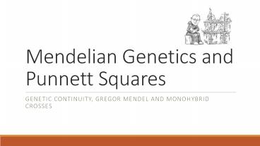 Mendelian Genetics and Punnett Squares presentation | free to download