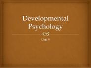 PPT – Developmental Delay PowerPoint presentation | free to view - id ...