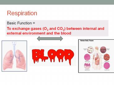 PPT – Respiration PowerPoint presentation | free to download - id ...
