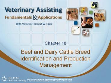 Beef and Dairy Cattle Breed Identification and Production Management ...