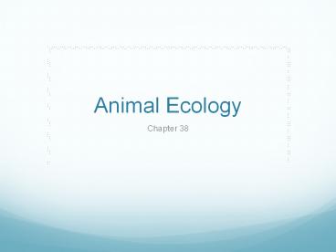 PPT – Animal Ecology PowerPoint presentation | free to download - id ...