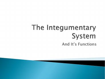 The Integumentary System presentation | free to download