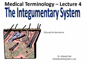 Integumentary System presentation | free to view