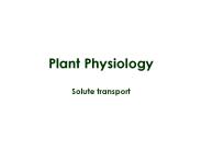 PPT – Plant Physiology PowerPoint presentation | free to view - id ...