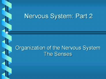 PPT – Nervous System: Part 2 PowerPoint presentation | free to view ...