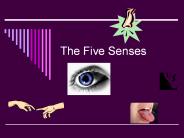 PPT – The five senses PowerPoint presentation | free to view - id ...