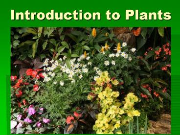 Introduction to Plants presentation | free to view