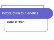 PPT – Introduction to Genetics PowerPoint presentation | free to view ...