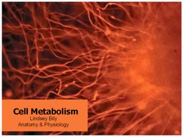 PPT – Cell Metabolism PowerPoint presentation | free to view - id ...
