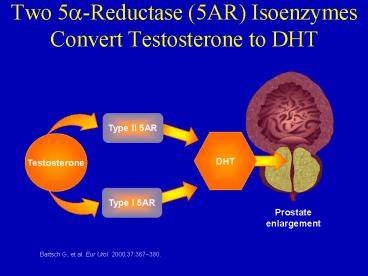 PPT – Two 5?-Reductase (5AR) Isoenzymes Convert Testosterone to DHT ...