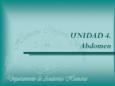 UNIDAD 4. Abdomen presentation | free to view