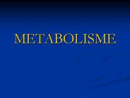 PPT – Metabolisme Karbohidrat PowerPoint presentation | free to ...