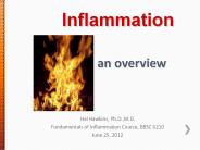 PPT – Acute Inflammation PowerPoint presentation | free to view - id ...