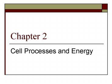 Cell Processes and Energy presentation | free to view