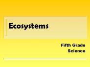 PPT – Fifth Grade PowerPoint presentation | free to view - id: 56f6a9-MThhZ