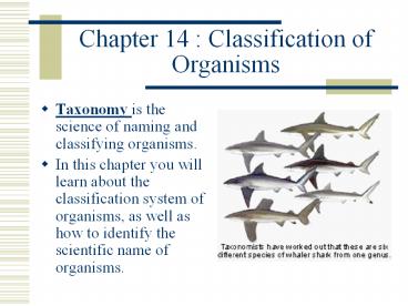Chapter 14 : Classification of Organisms presentation | free to view