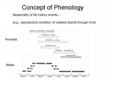 Concept of Phenology presentation | free to view