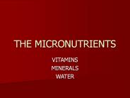 PPT – Micronutrients PowerPoint presentation | free to view - id ...