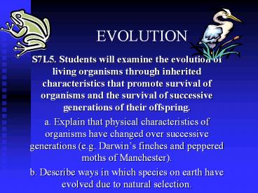 PPT – EVOLUTION PowerPoint presentation | free to download - id: 749f2a ...