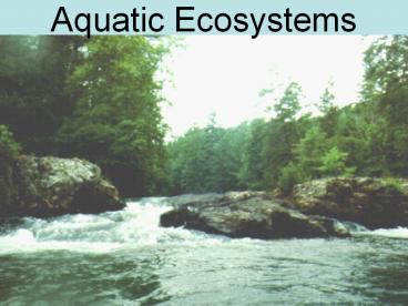 Aquatic Ecosystems presentation | free to download