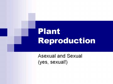 PPT – Plant Reproduction PowerPoint presentation | free to view - id ...