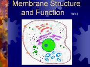 Cell Structure and Function presentation | free to download
