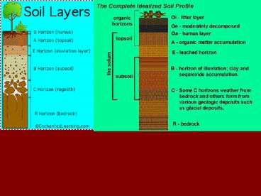Soil Animation presentation | free to download