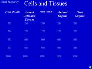PPT – Animal Cells and Plant Cells PowerPoint presentation | free to ...