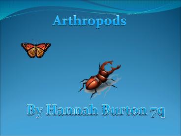 PPT – Arthropods PowerPoint presentation | free to download - id ...