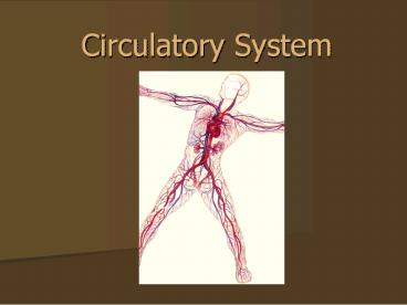 PPT – Circulatory System PowerPoint presentation | free to view - id ...